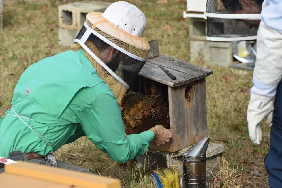 Meet Daniel Calzadilla | Beekeeper & Scientist - SHOUTOUT MIAMI