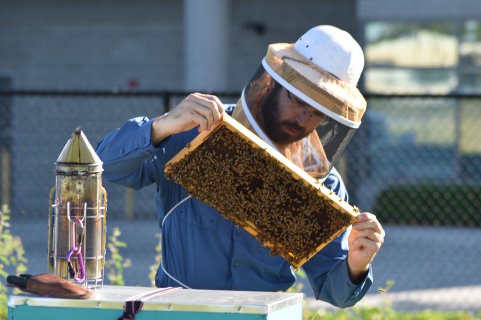 Meet Daniel Calzadilla | Beekeeper & Scientist - SHOUTOUT MIAMI