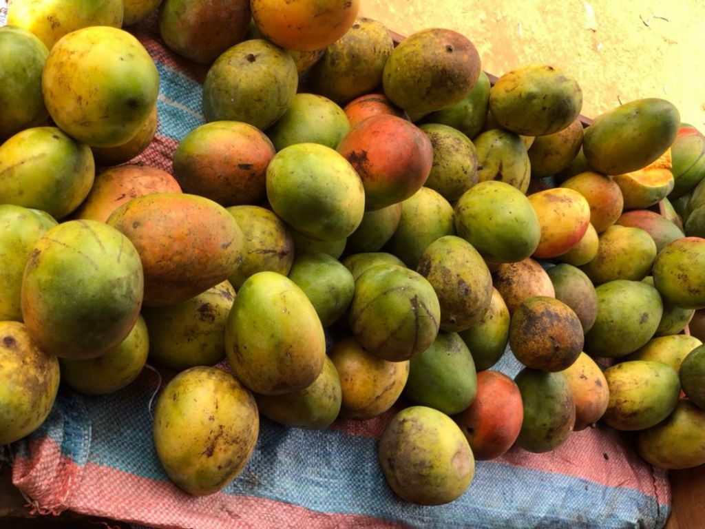 Meet Jerrit Wilson | Chef & entrepreneur - SHOUTOUT MIAMI