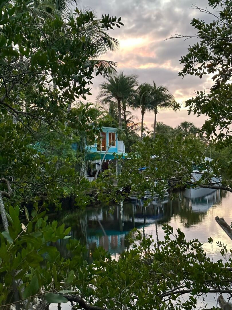 Meet Crissa-jean Chappell | author / professor - SHOUTOUT MIAMI